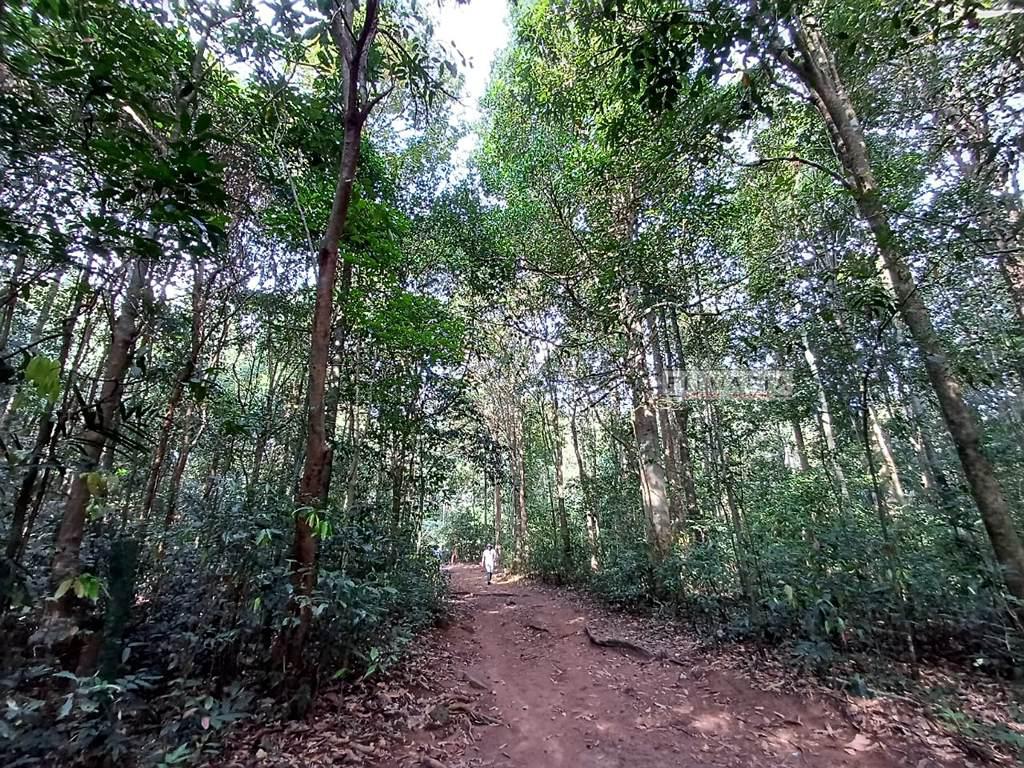 Filming in Agumbe | Filmapia – real sites. reel sights.