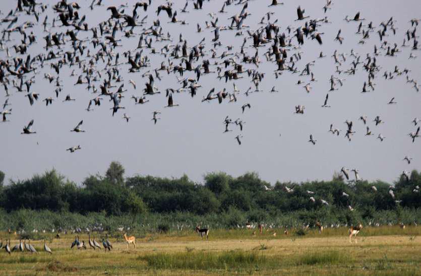 Filming in Menar | Filmapia – real sites. reel sights.