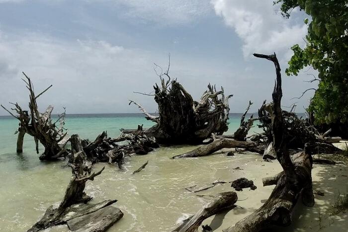 Filming in North and Middle Andaman District | Filmapia – real sites ...