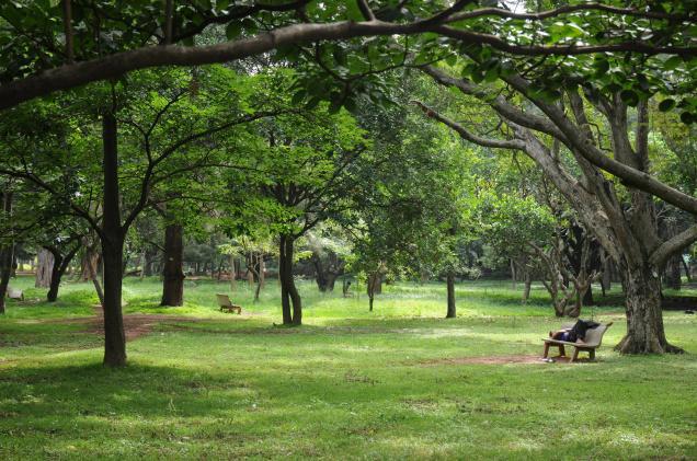 Filming at Cubbon Park| Filmapia - real sites . reel sites