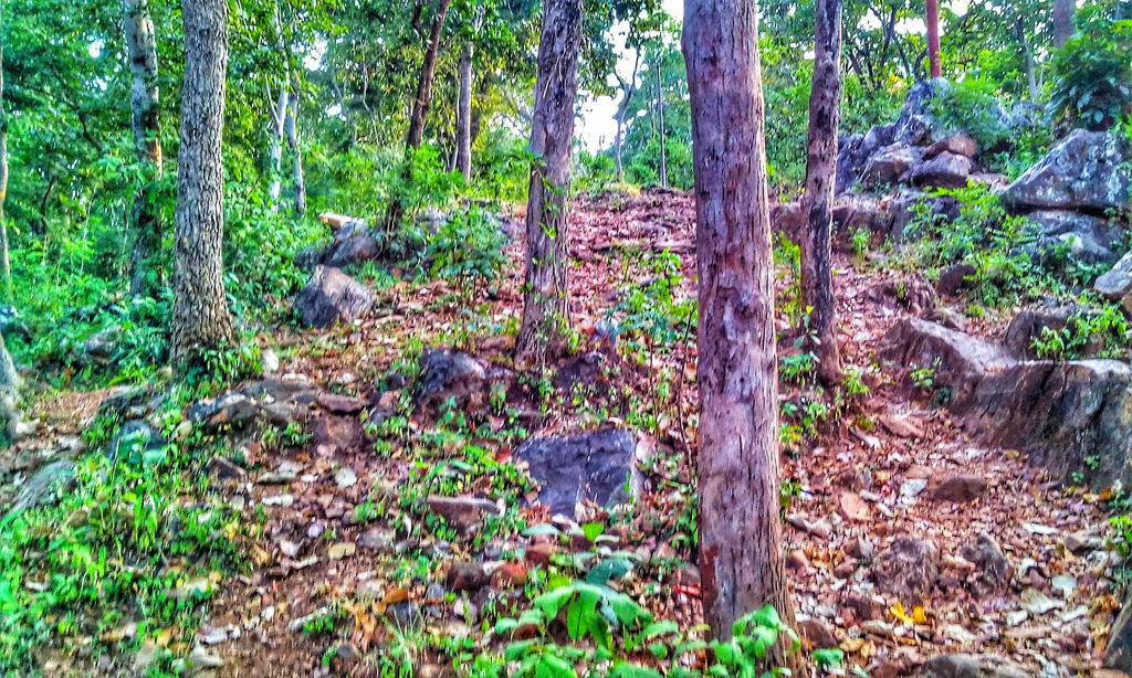 Filming at Dalli Rajhara Forest| Filmapia - real sites . reel sites