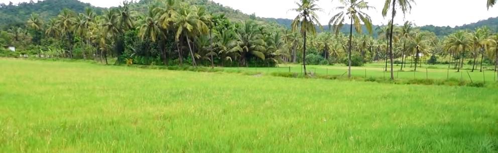 Filming at Keradi Village| Filmapia - real sites . reel sites