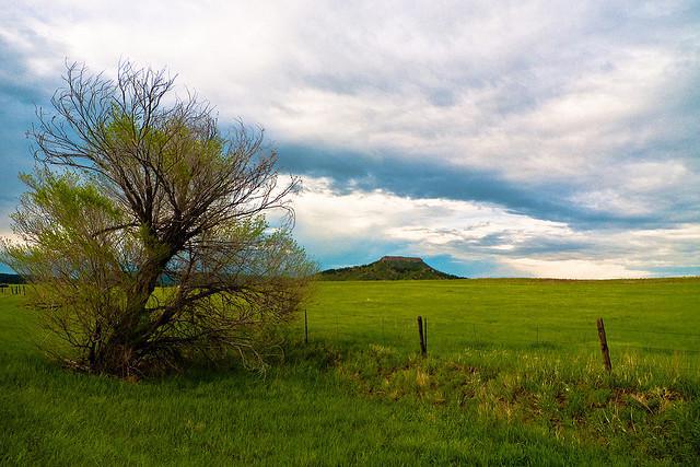 Filming at Khemkaran| Filmapia - real sites . reel sites