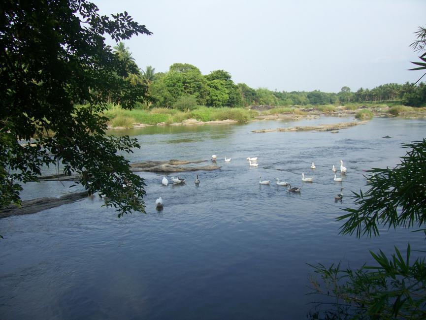 Filming at Ranganathittu Bird Sanctuary| Filmapia - real sites . reel sites