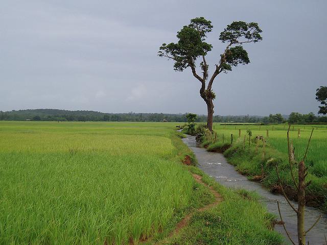 Filming at Talaguppa| Filmapia - real sites . reel sites