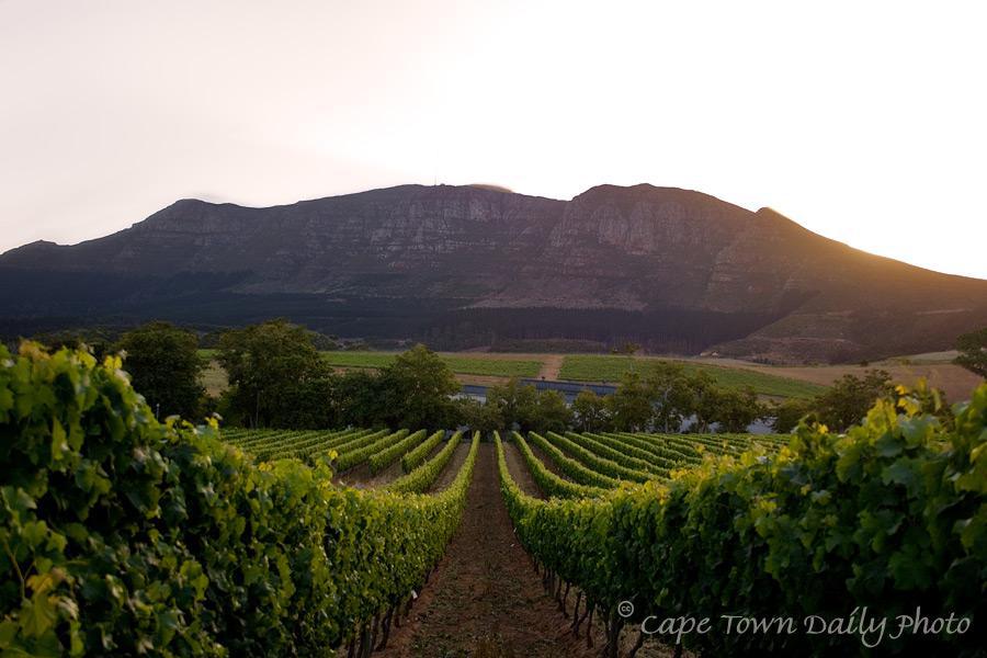 Filming at The Constantia Valley| Filmapia - real sites . reel sites