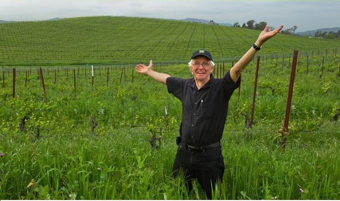 Filming at Windows XP "Bliss" Hills| Filmapia - real sites . reel sites