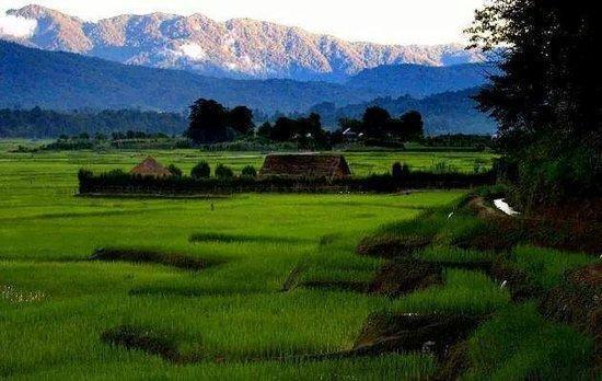 Filming at Ziro Valley| Filmapia - reel sites . real sites